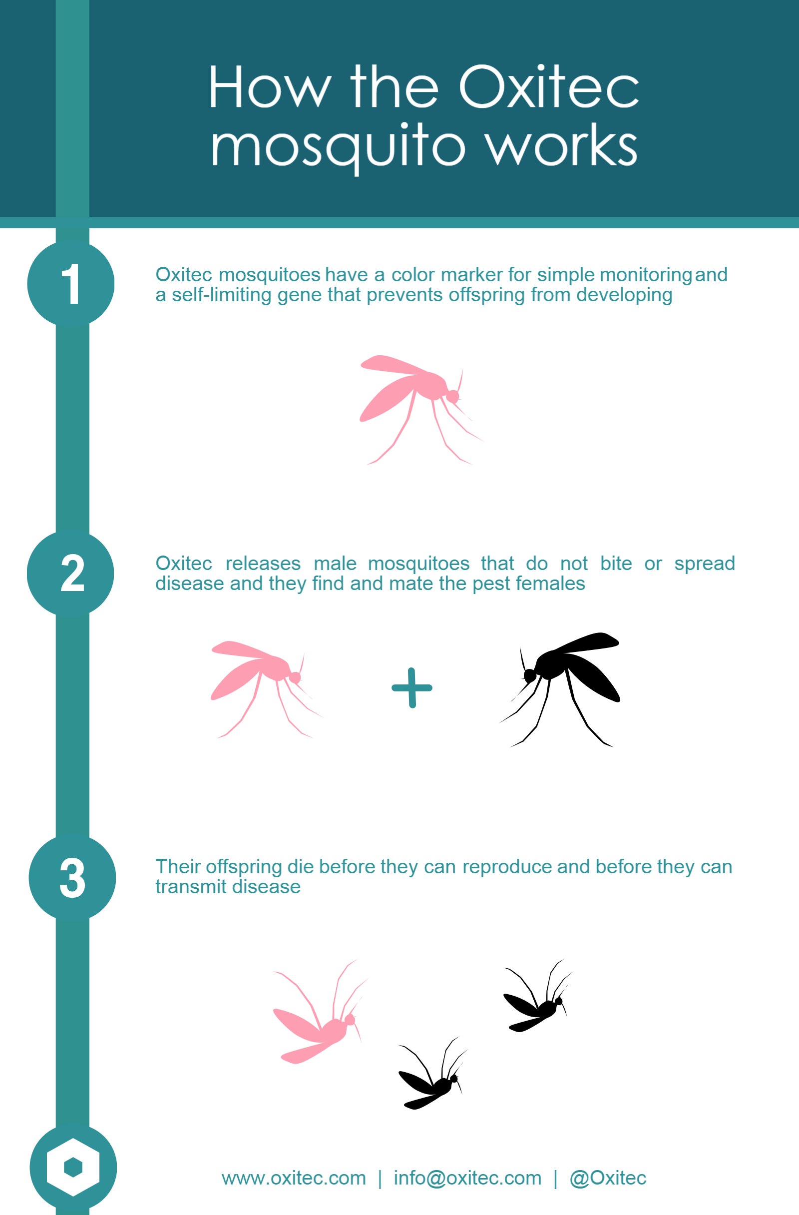 Mutant mosquitoes are enlisted in fight against Zika virus