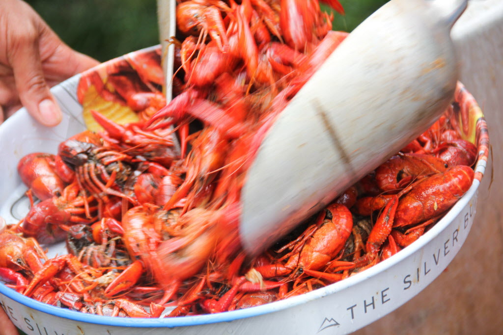 Crawfish Festival at The Sound